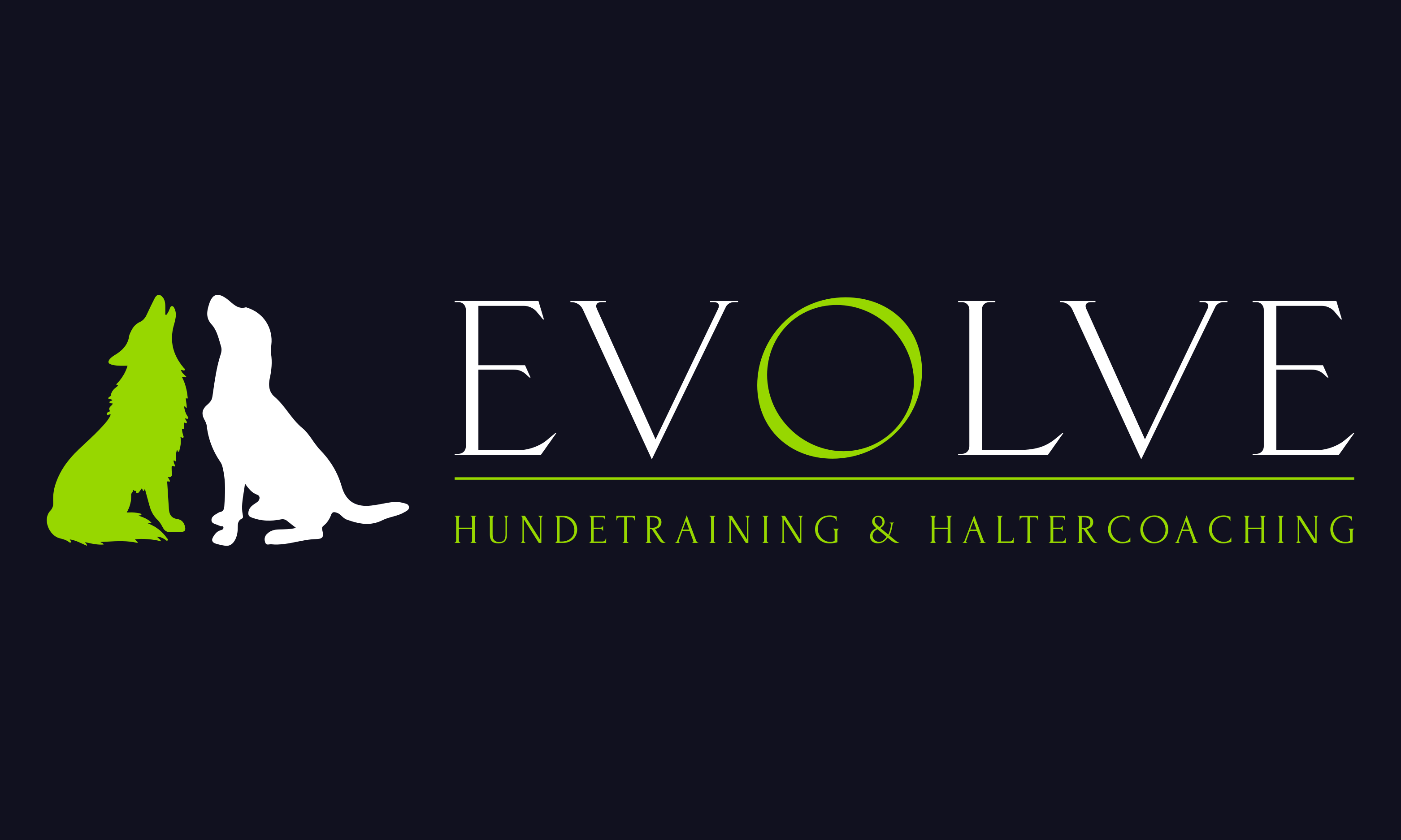 Evolve Hundetraining in Potsdam